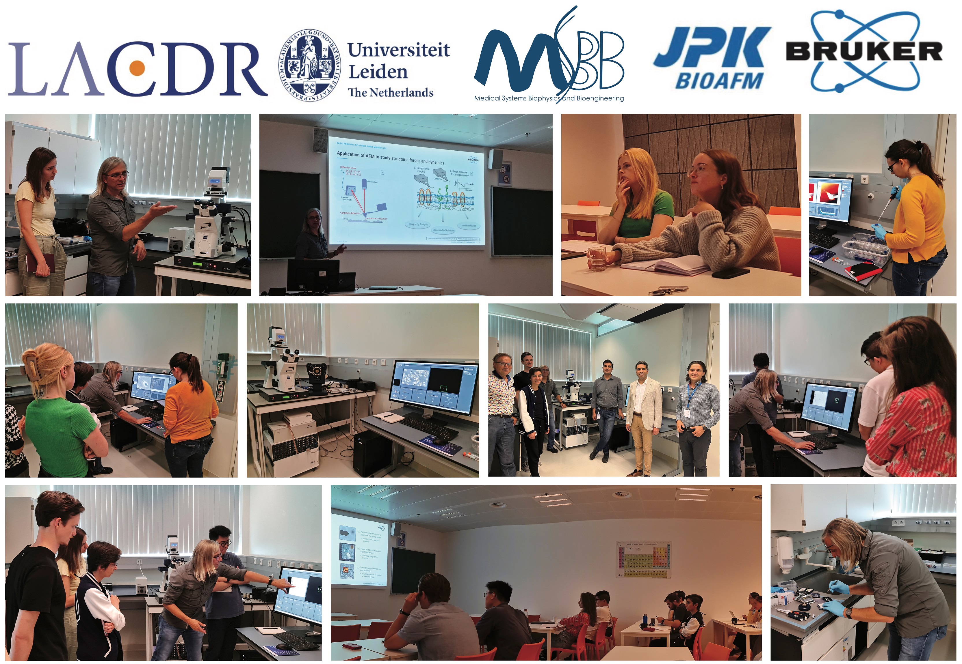 LACDR-Bruker Bio-AFM workshop: connecting disciplines through force ...